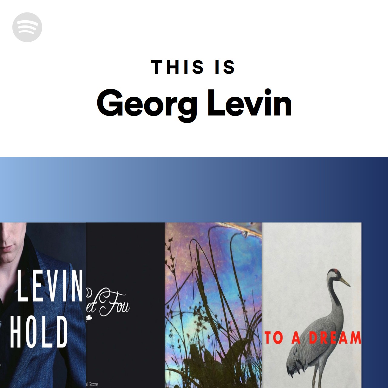 This Is Georg Levin | Spotify Playlist