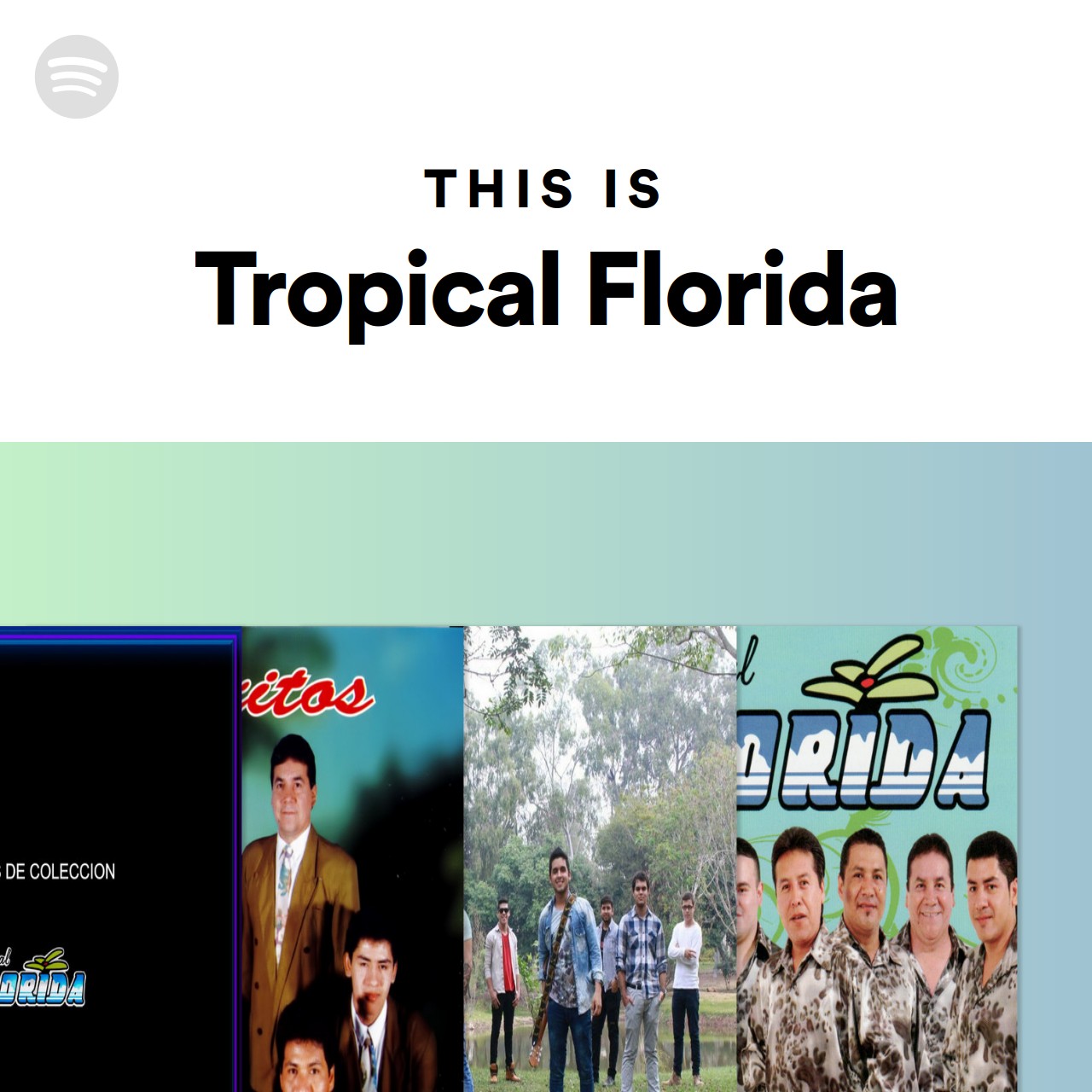 This Is Tropical Florida | Spotify Playlist