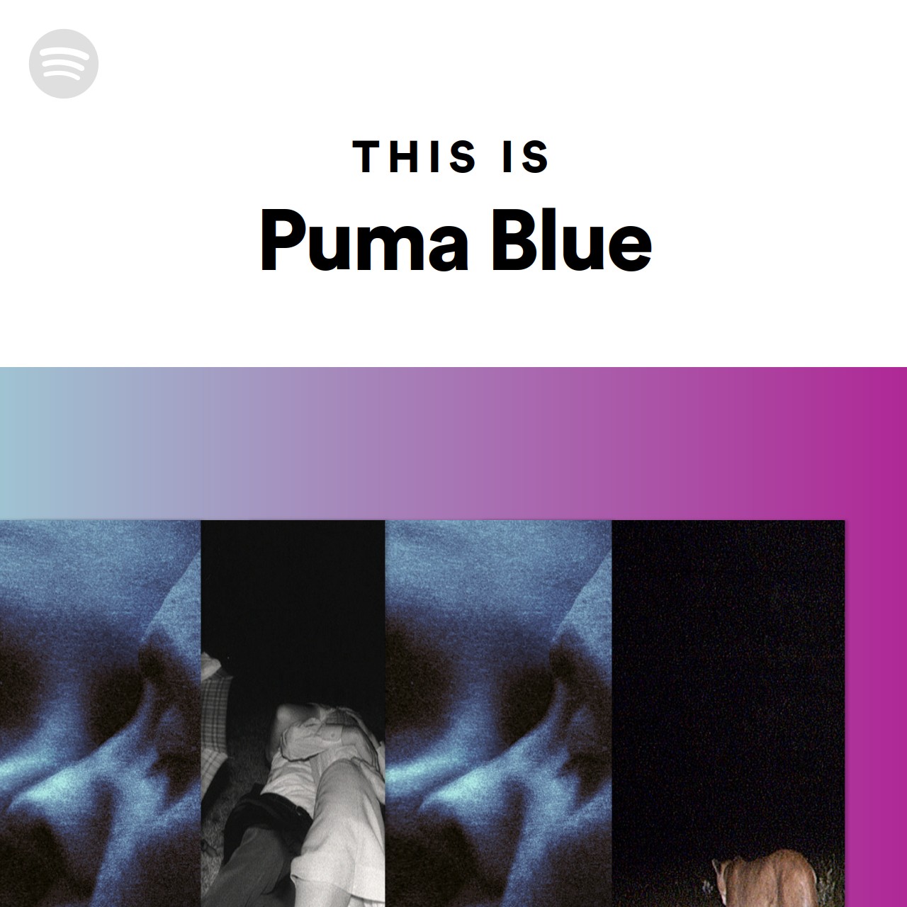 This Is Puma Blue | Spotify Playlist