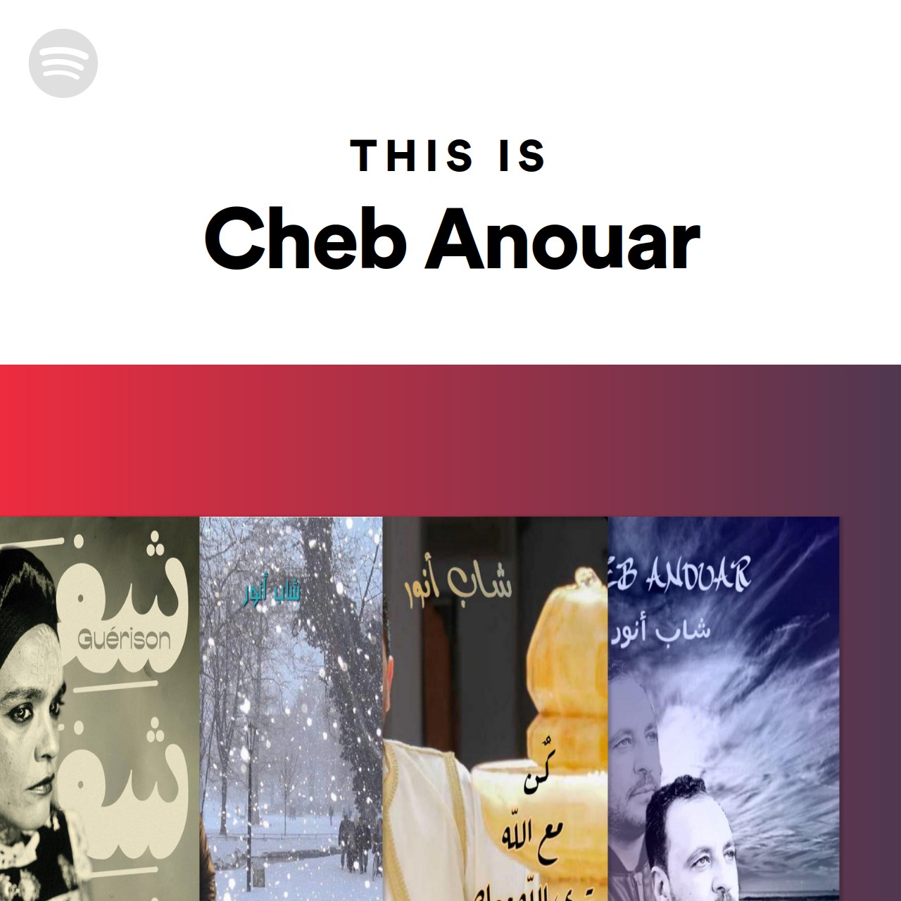 This Is Cheb Anouar | Spotify Playlist