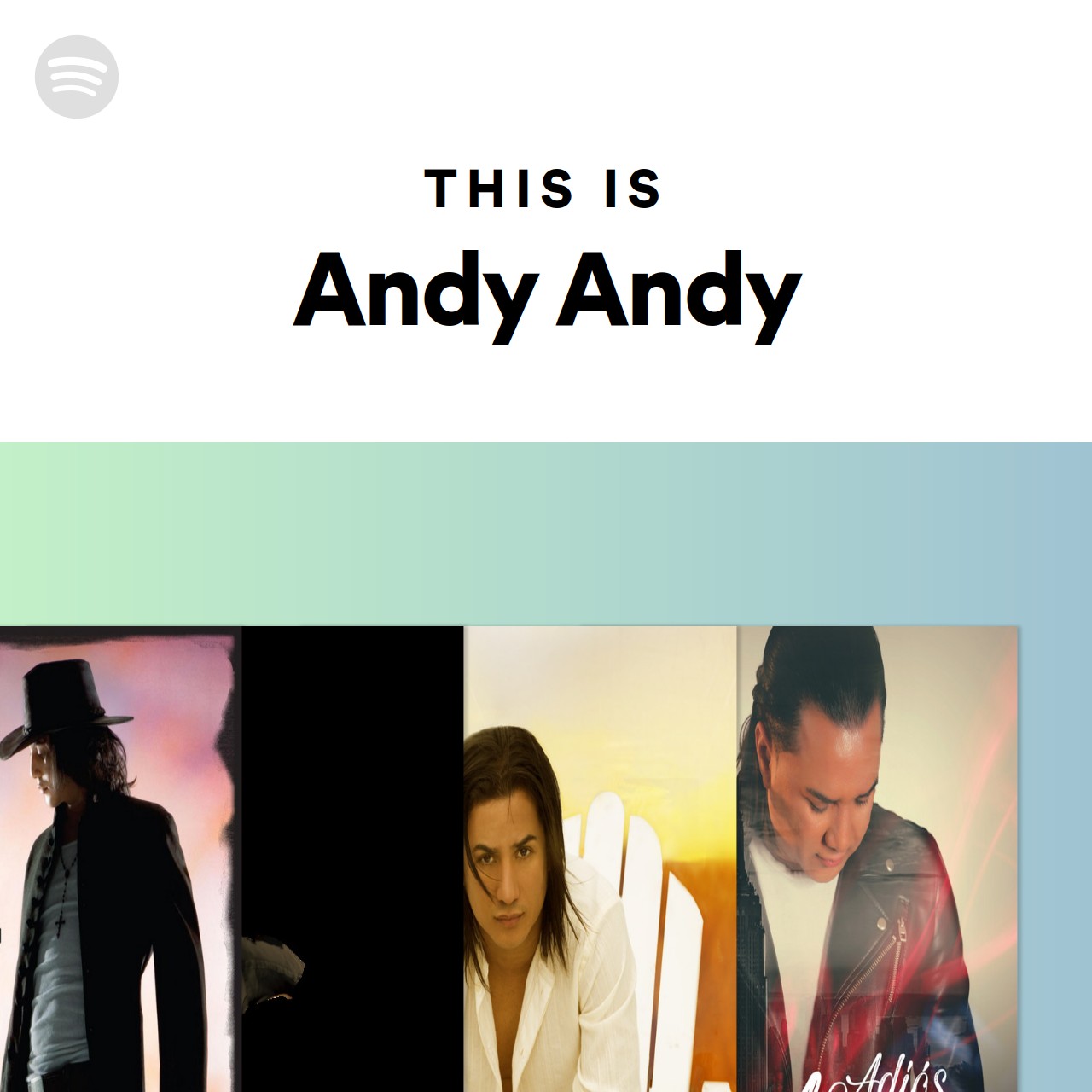 This Is Andy Andy | Spotify Playlist