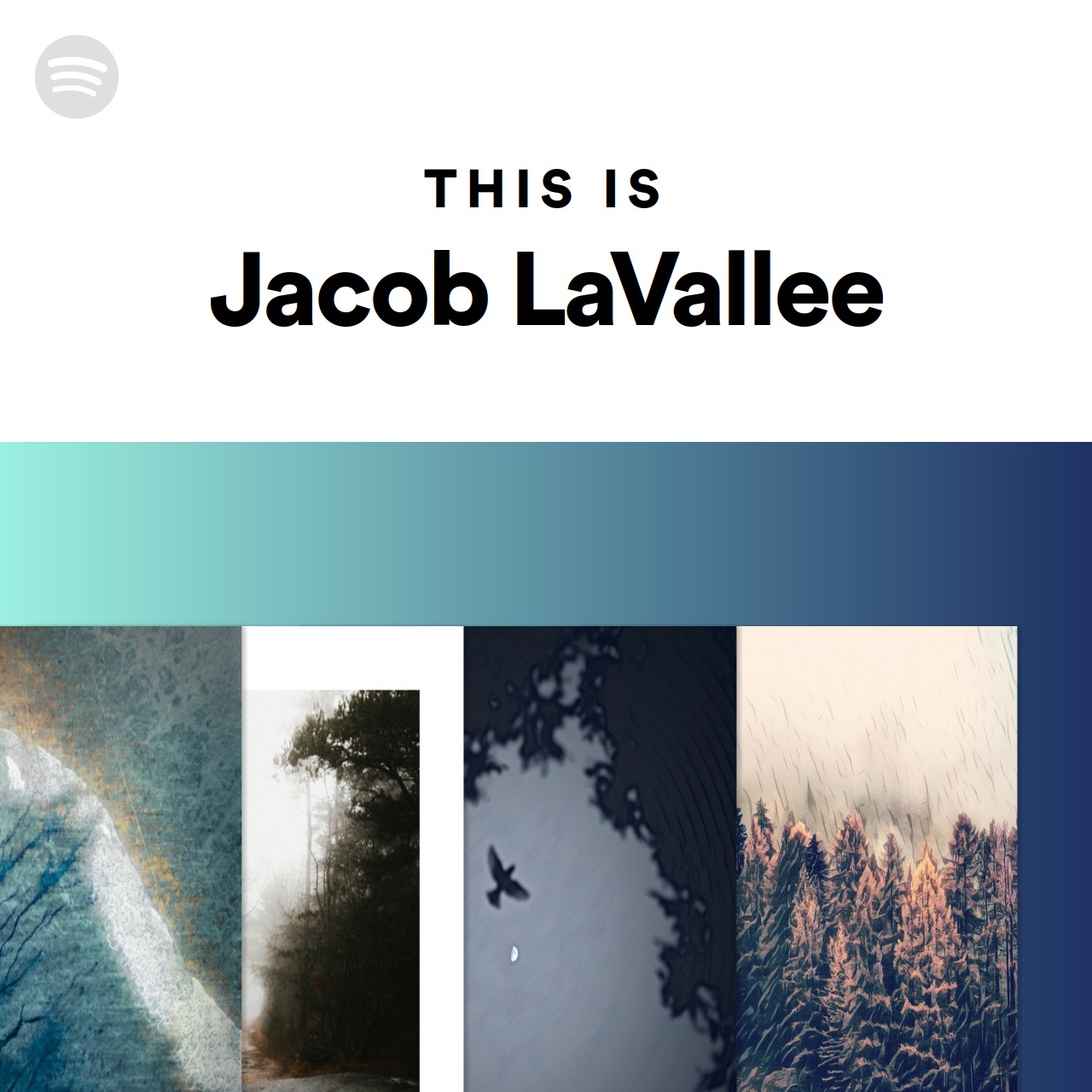 This Is Jacob LaVallee | Spotify Playlist