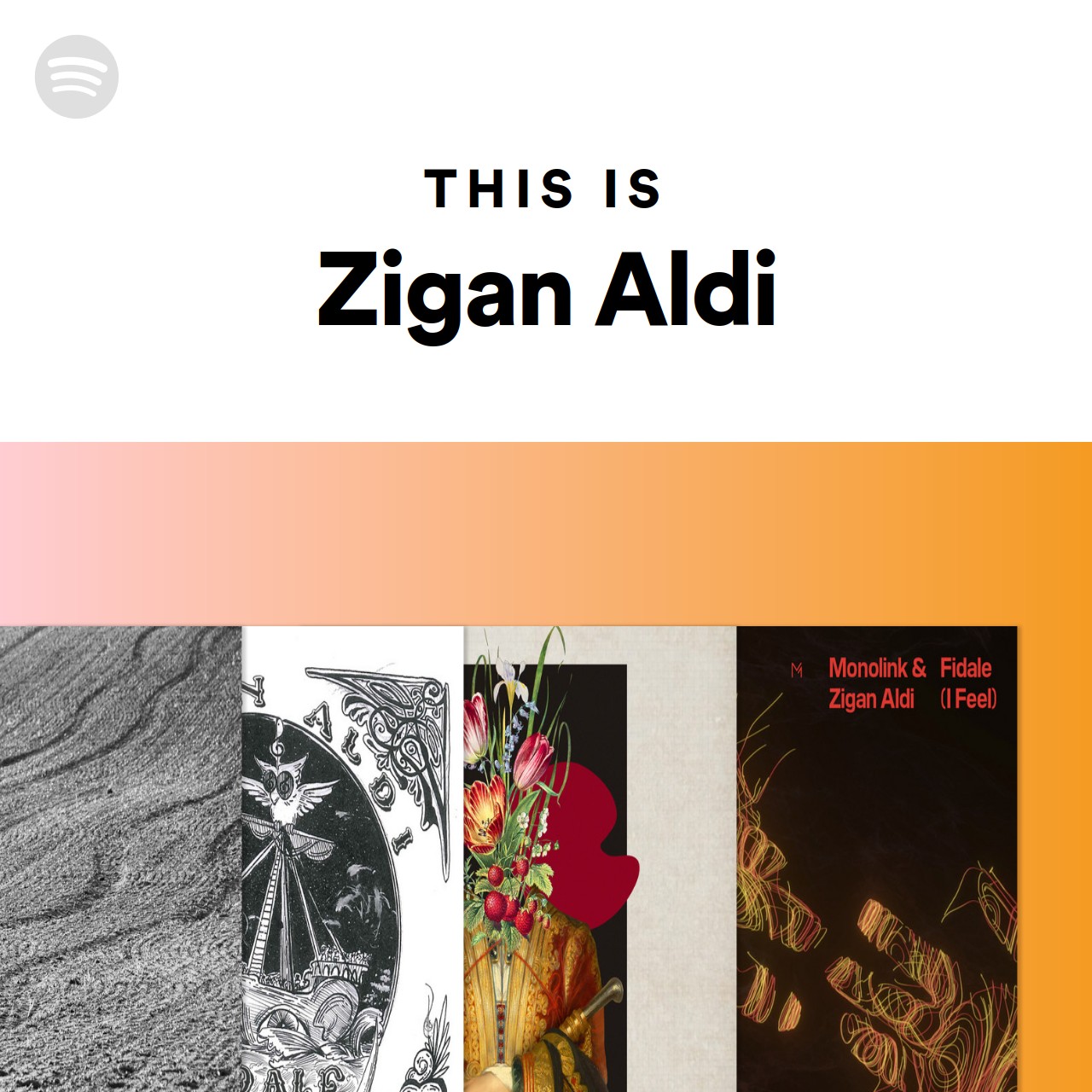 This Is Zigan Aldi | Spotify Playlist