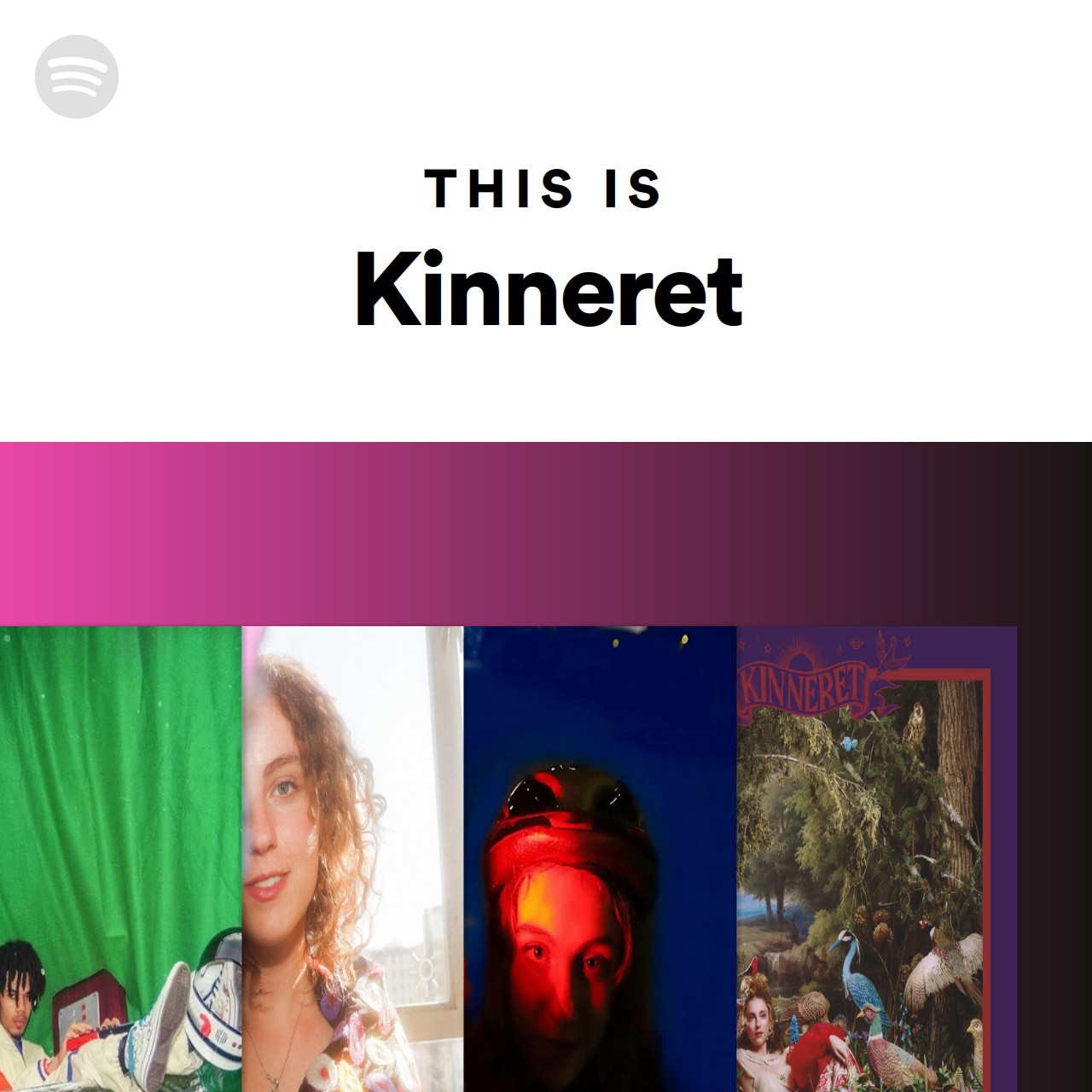 This Is Kinneret | Spotify Playlist