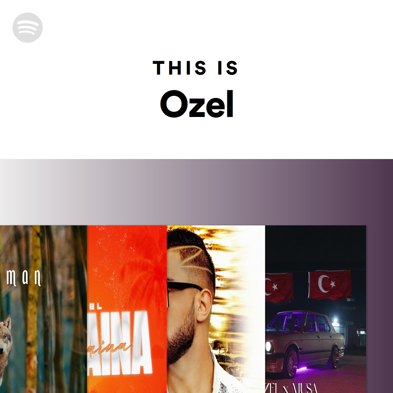 This Is Ozel | Spotify Playlist