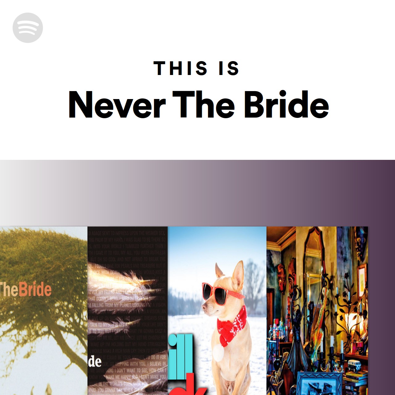 This Is Never The Bride | Spotify Playlist
