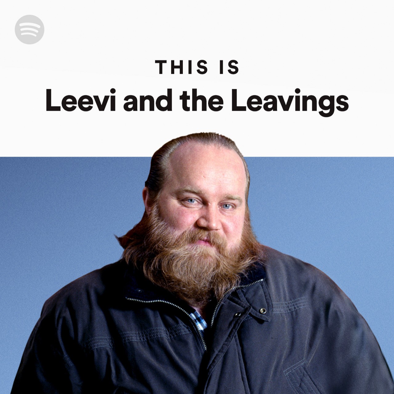 This Is Leevi and the leavings | Spotify Playlist
