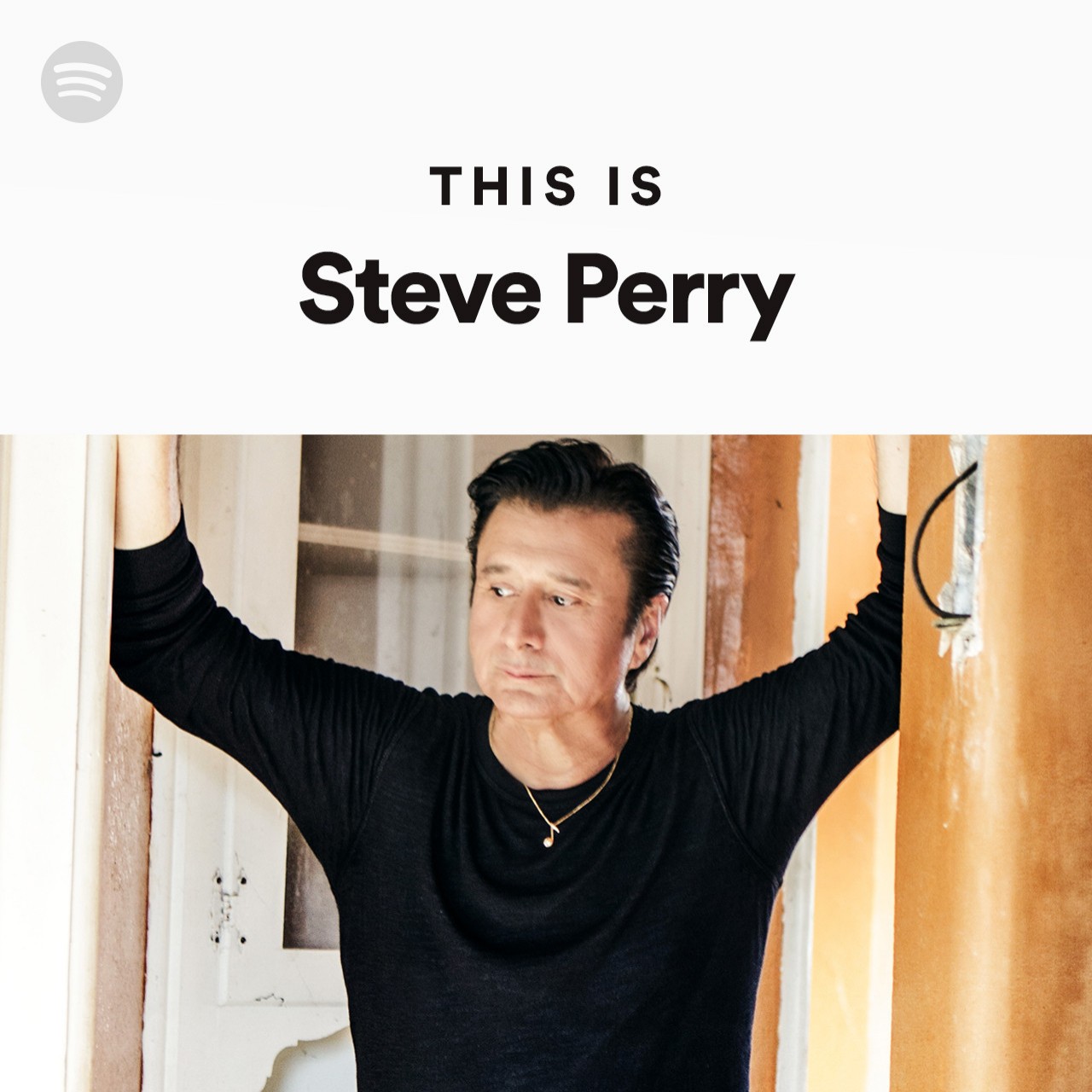 This Is Steve Perry | Spotify Playlist