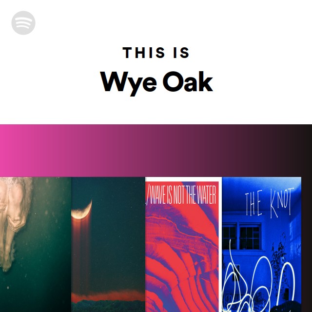 This Is Wye Oak | Spotify Playlist
