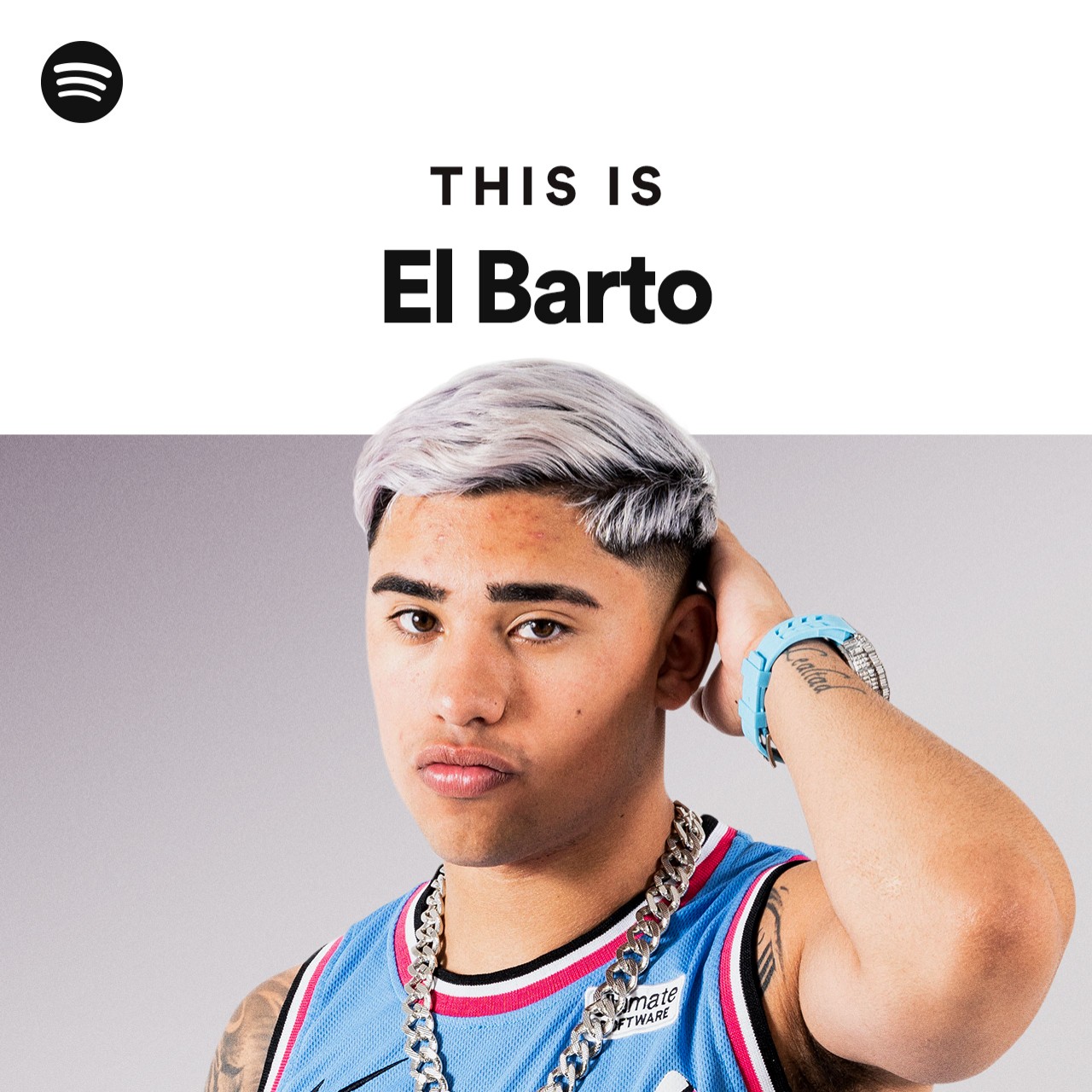 This Is El Barto | Spotify Playlist