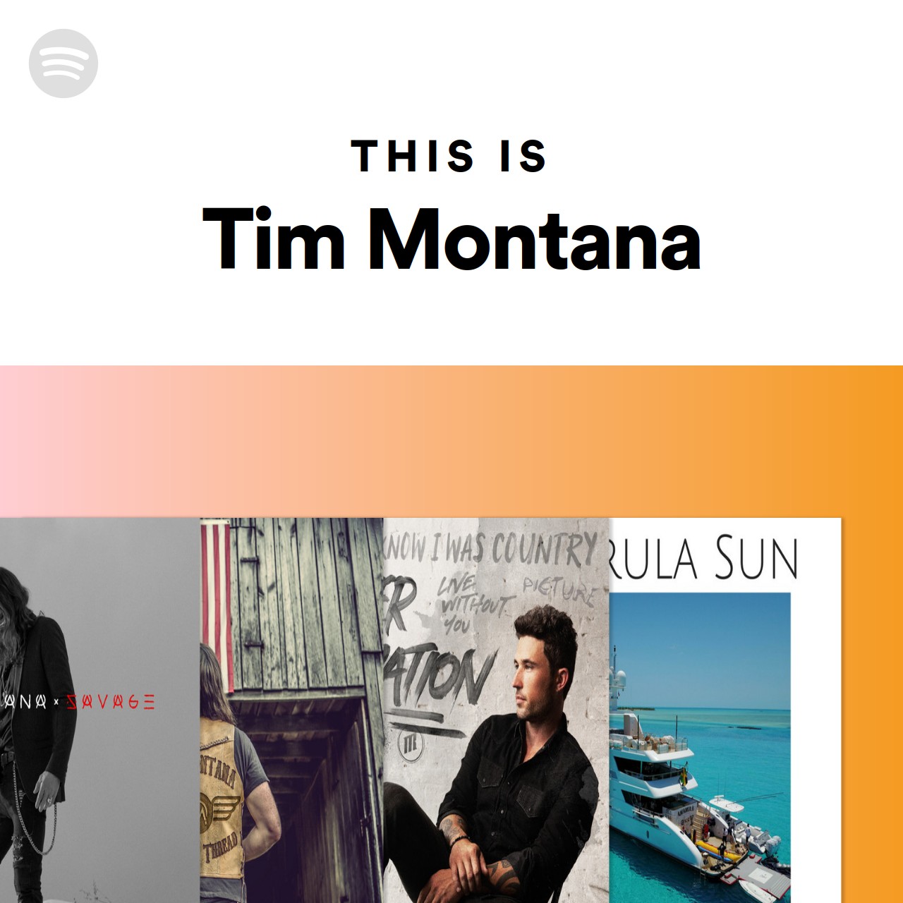 This Is Tim Montana | Spotify Playlist