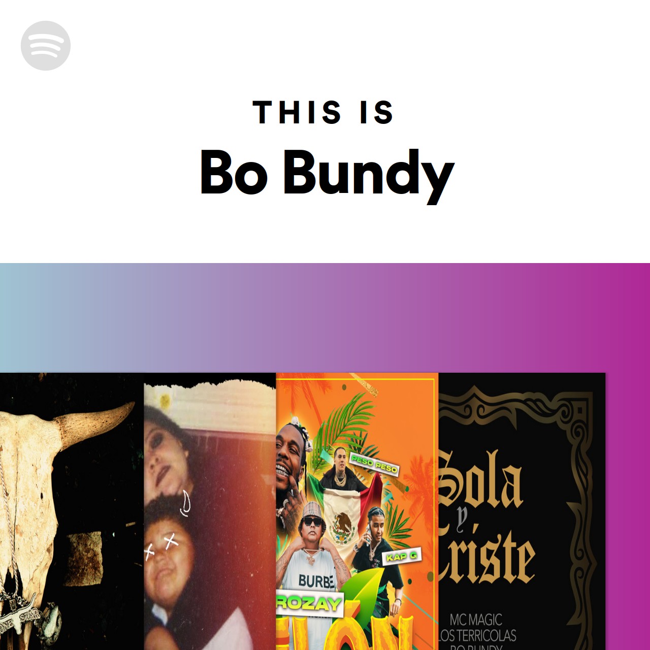 This Is Bo Bundy | Spotify Playlist