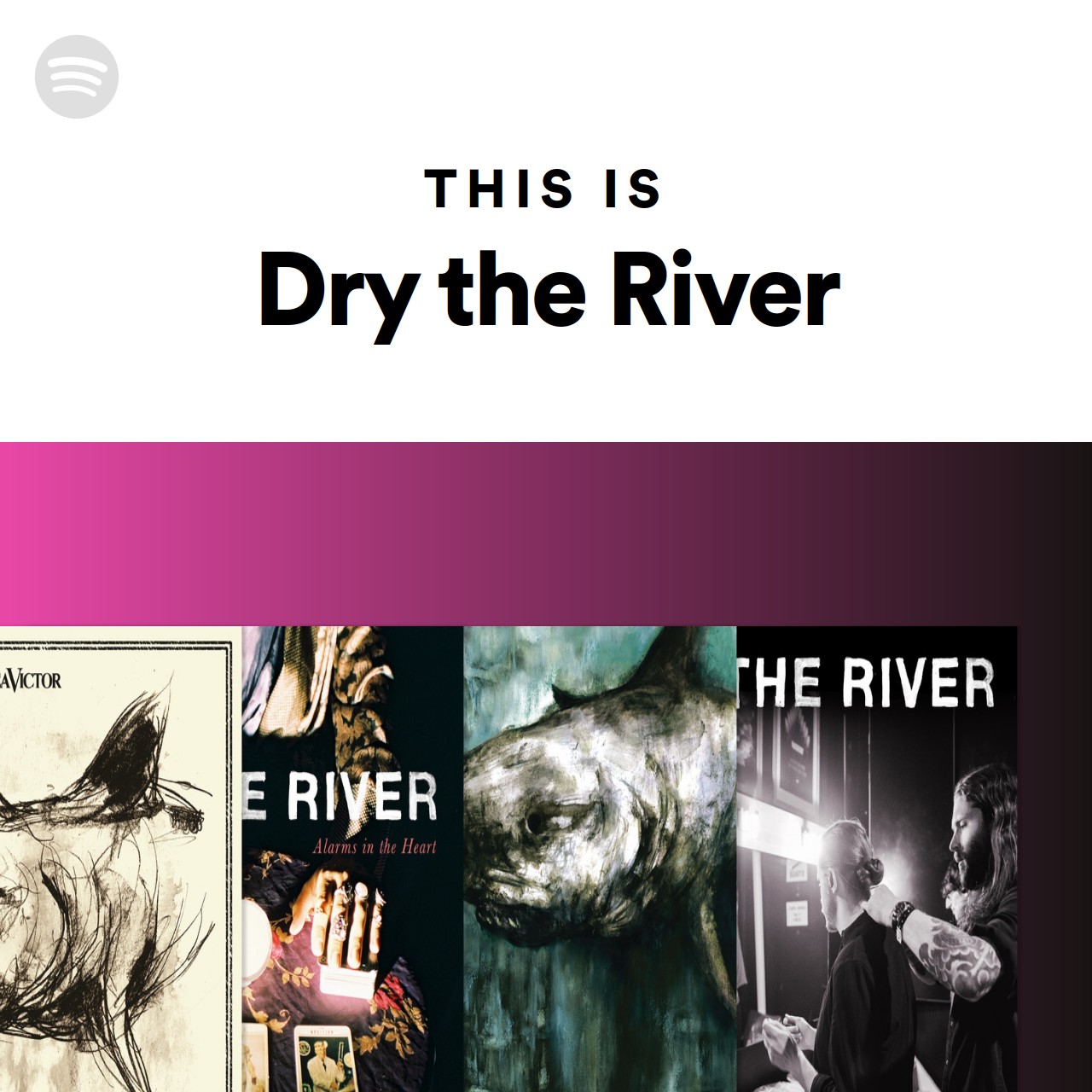 This Is Dry the River | Spotify Playlist