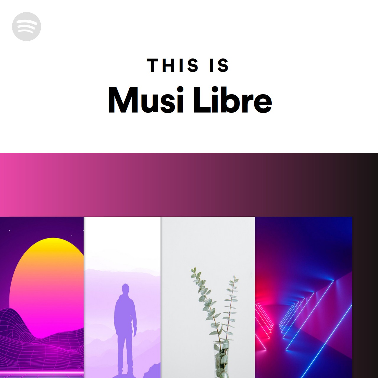 This Is Musi Libre | Spotify Playlist