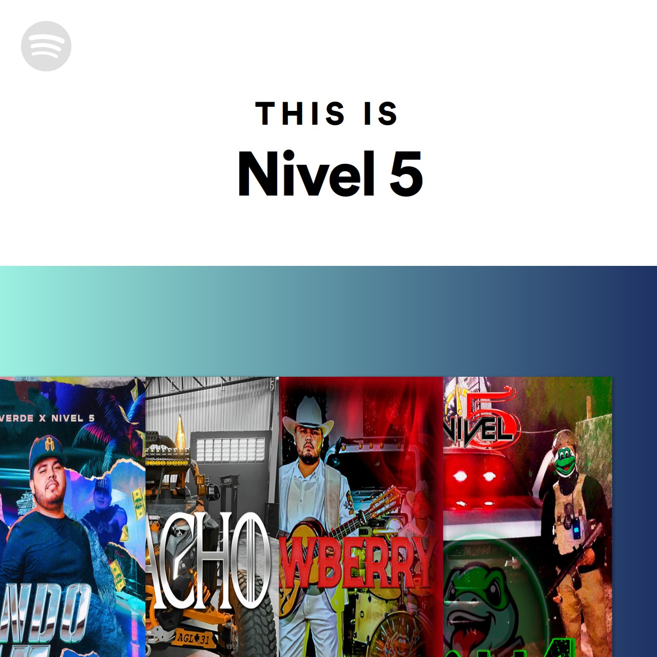 This Is Nivel 5 | Spotify Playlist