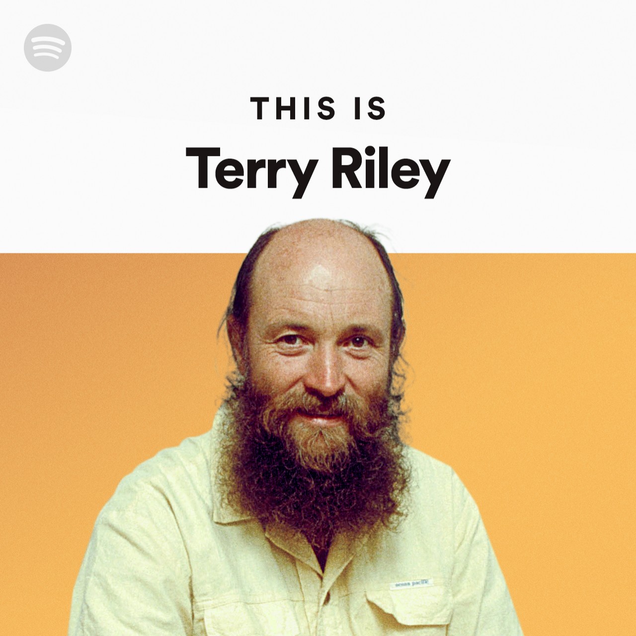 This Is Terry Riley | Spotify Playlist