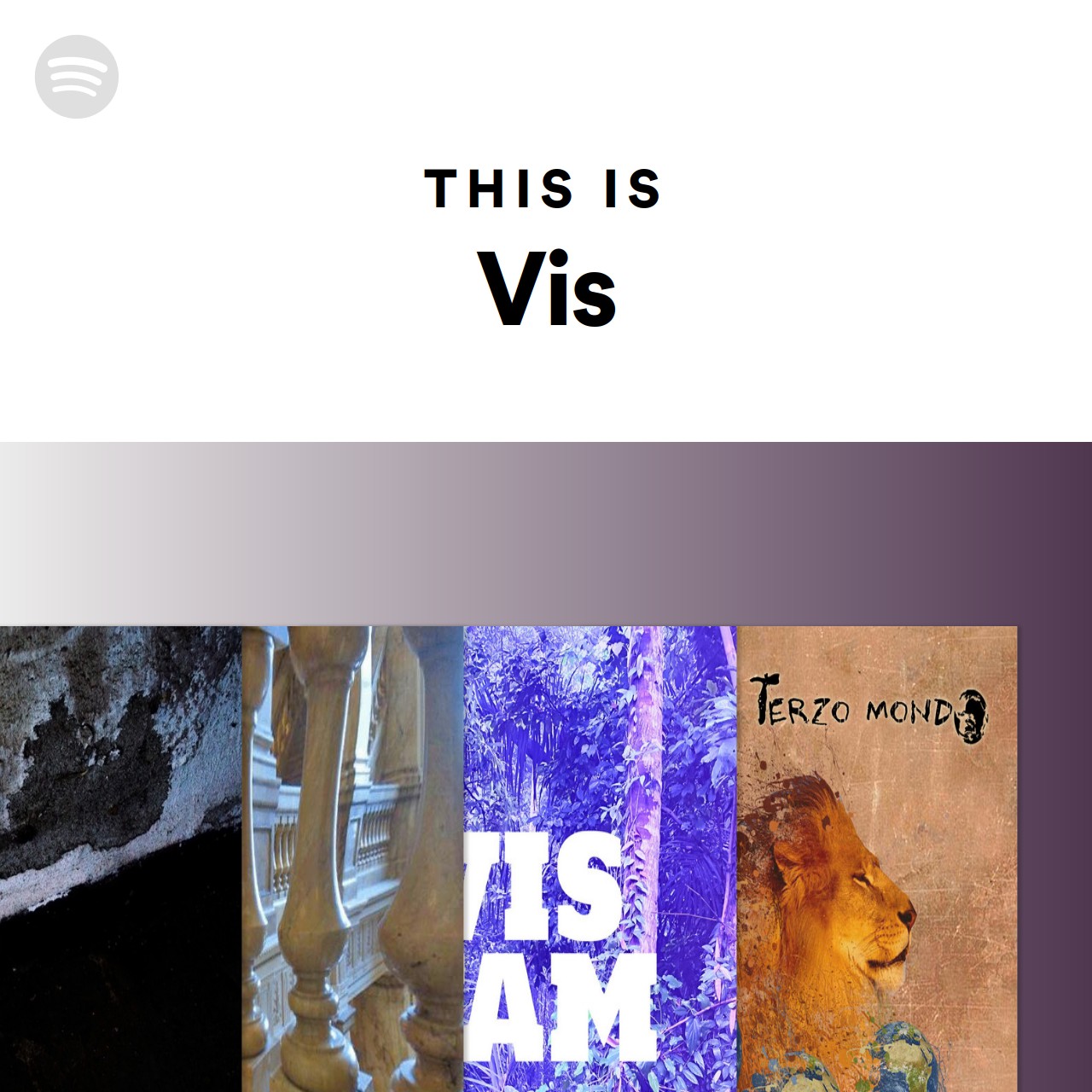 This Is Vis | Spotify Playlist