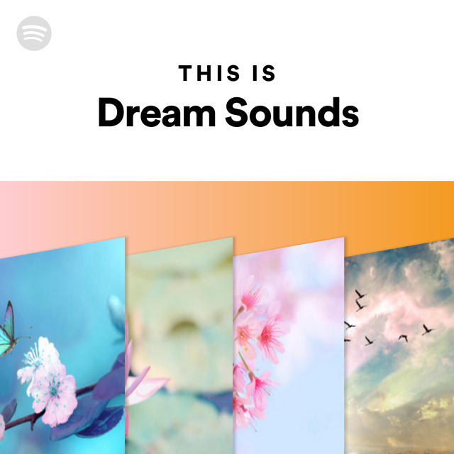Dream Sounds | Spotify