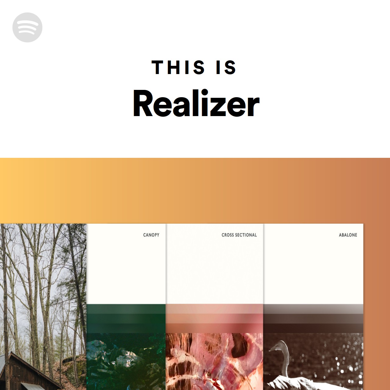 This Is Realizer | Spotify Playlist